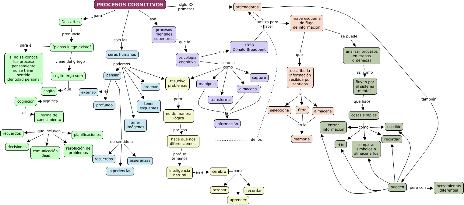 procesos cognitivos conceptualización